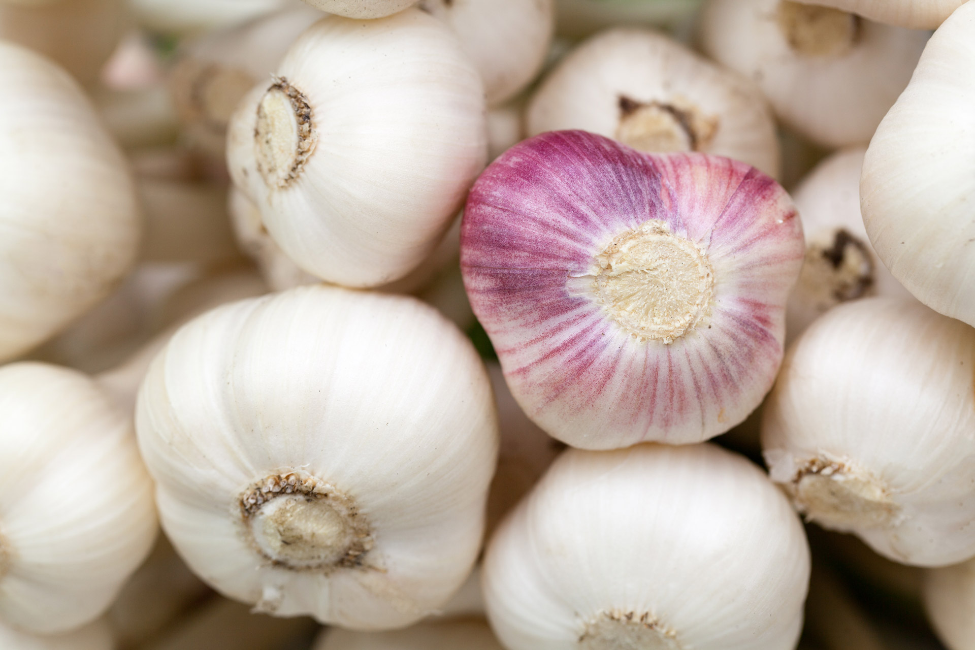 Garlic Fresh Imported 2 PK - Direct From The Farm To You